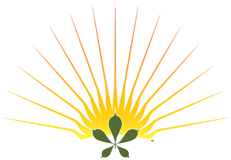 HELP IS HERE | Healing Earth Inc